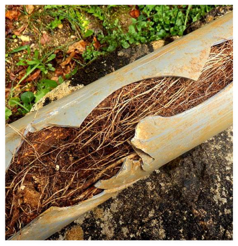 Drain Master Melbourne